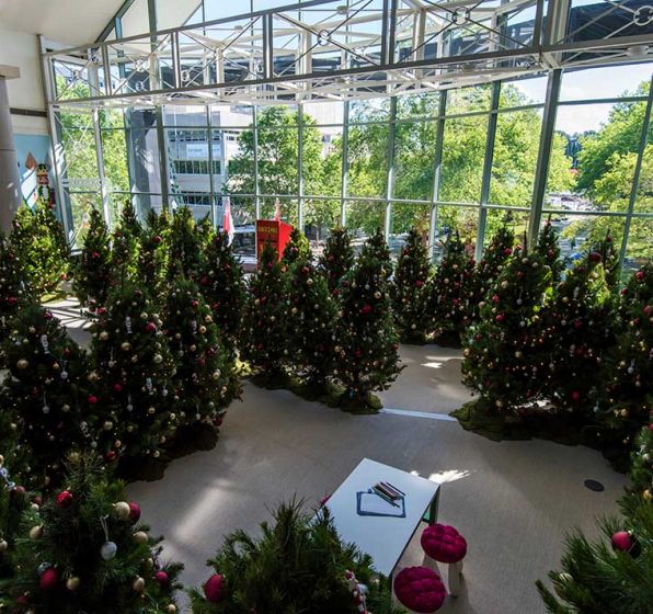 Gallery – Santa's Shaped Christmas Tree Farm